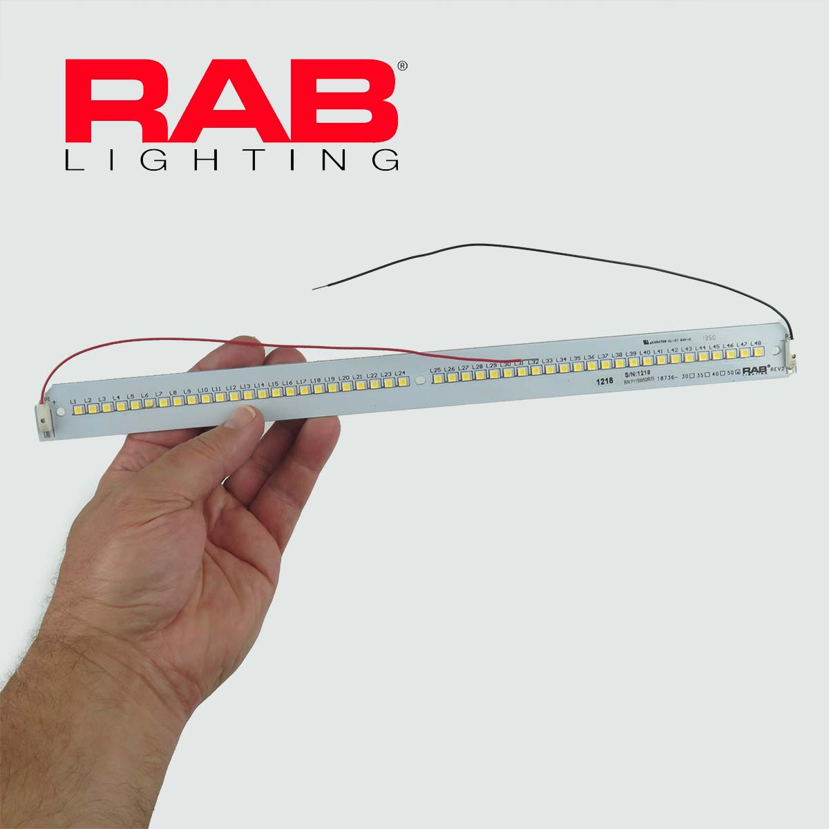 G27580 ` RAB Lighting 45 LED 9VDC to 12VDC Large Blinding White LED Ba